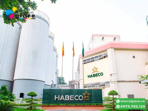 Download Logo Habeco Free File Vector | Cty Intoroigiare.vn